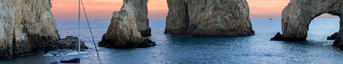 Fish to Catch in Cabo San Lucas During Sport Fishing Season | Exotic ...